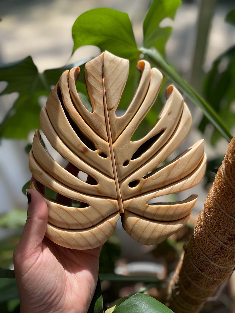 Monstera Leaf Intarsia - Studio Dust